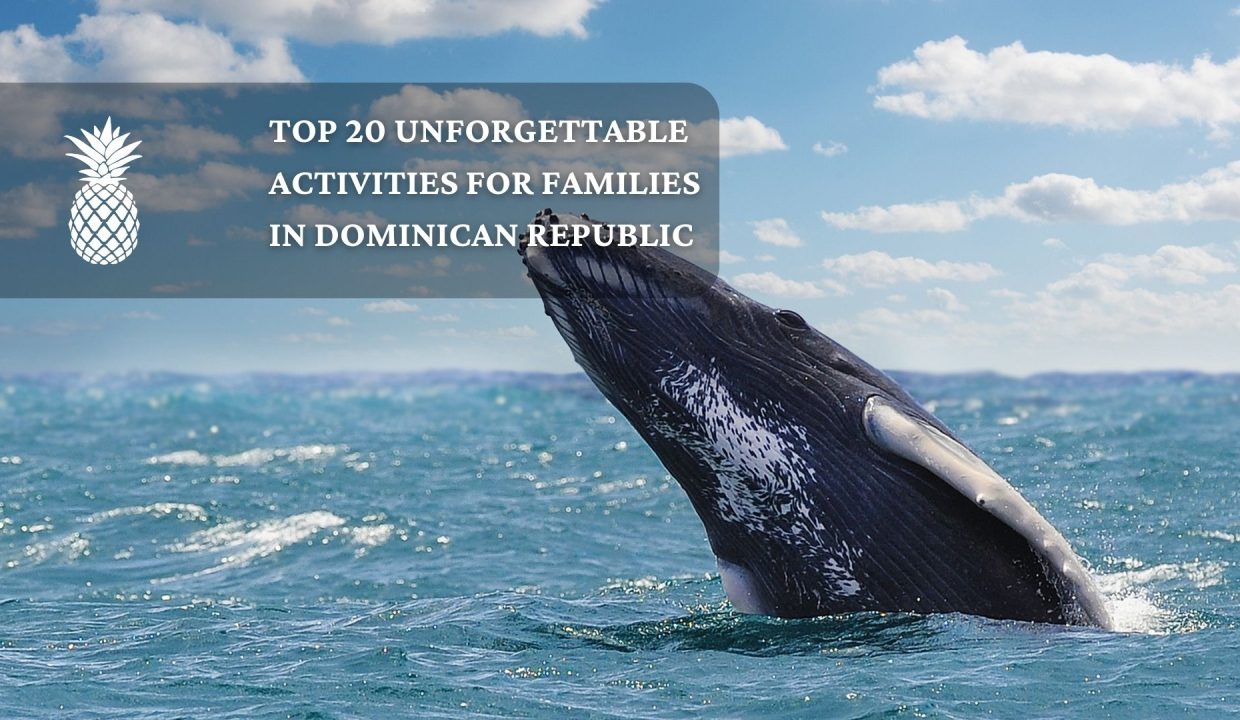 Top 20 Things to Do in Dominican Republic with Kids - Simply Dominican ...