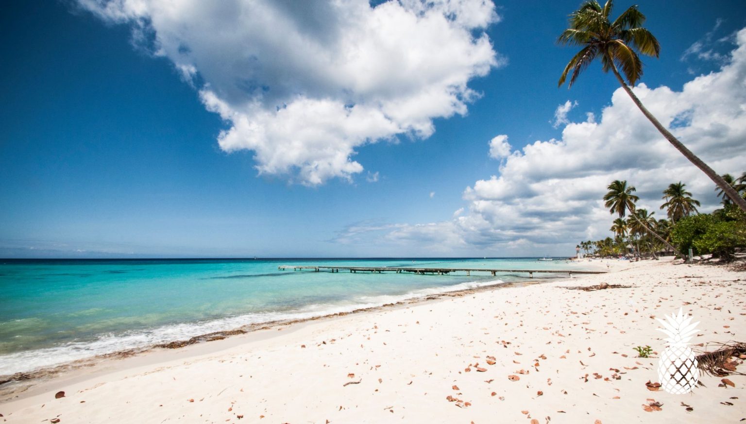 Discovering the Best Family Beaches in the Dominican Republic - Simply ...