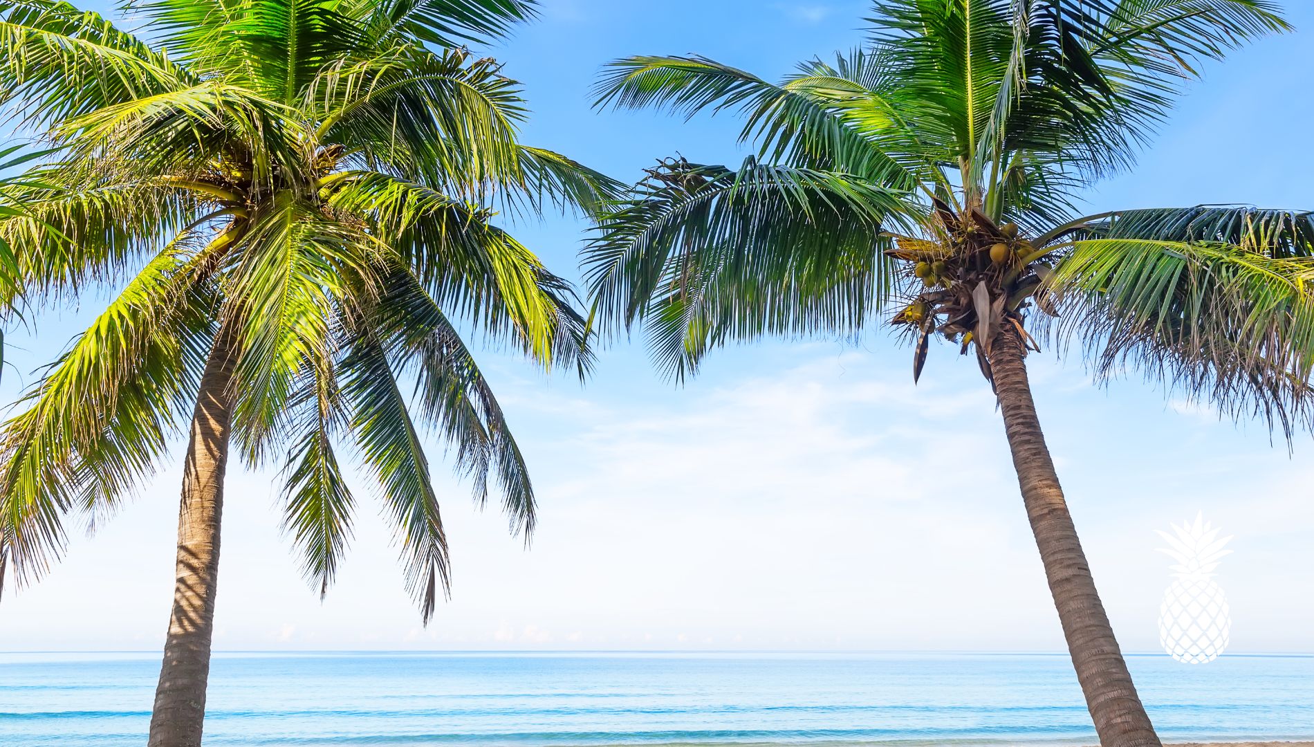 Enjoy Holy Week in the Dominican Republic - Simply Dominican - Villas ...
