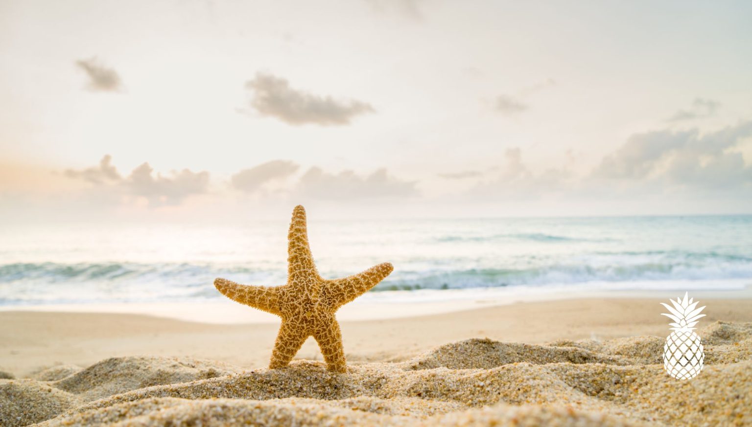 Top 20 Things To Do In Punta Cana - Simply Dominican - Villas & Luxury ...