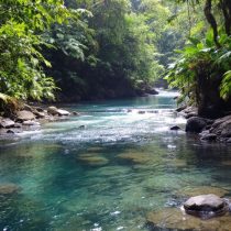 Discover the Most Breathtaking Rivers in Dominican Republic