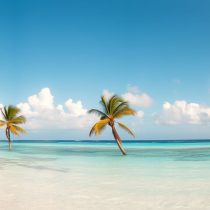 Uncover the Fascinating History Behind Punta Cana’s Paradise